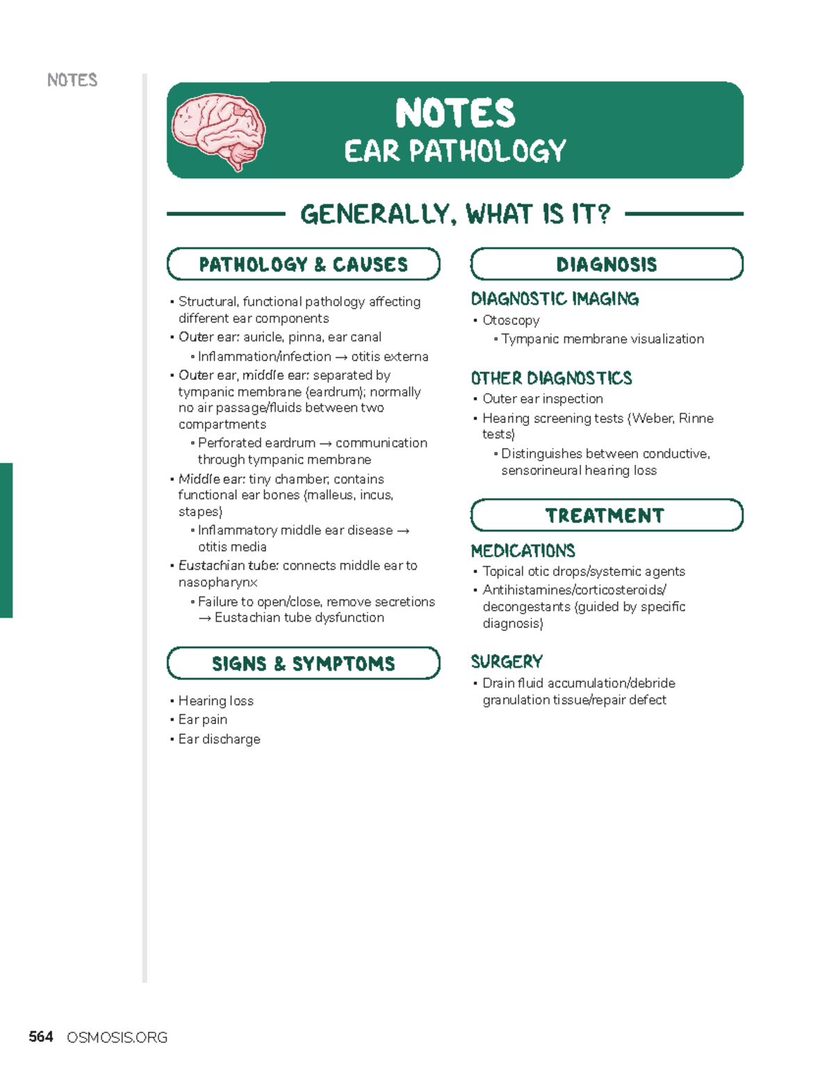 Ear pathology - neurology course - NOTES NOTES EAR PATHOLOGY Structural ...