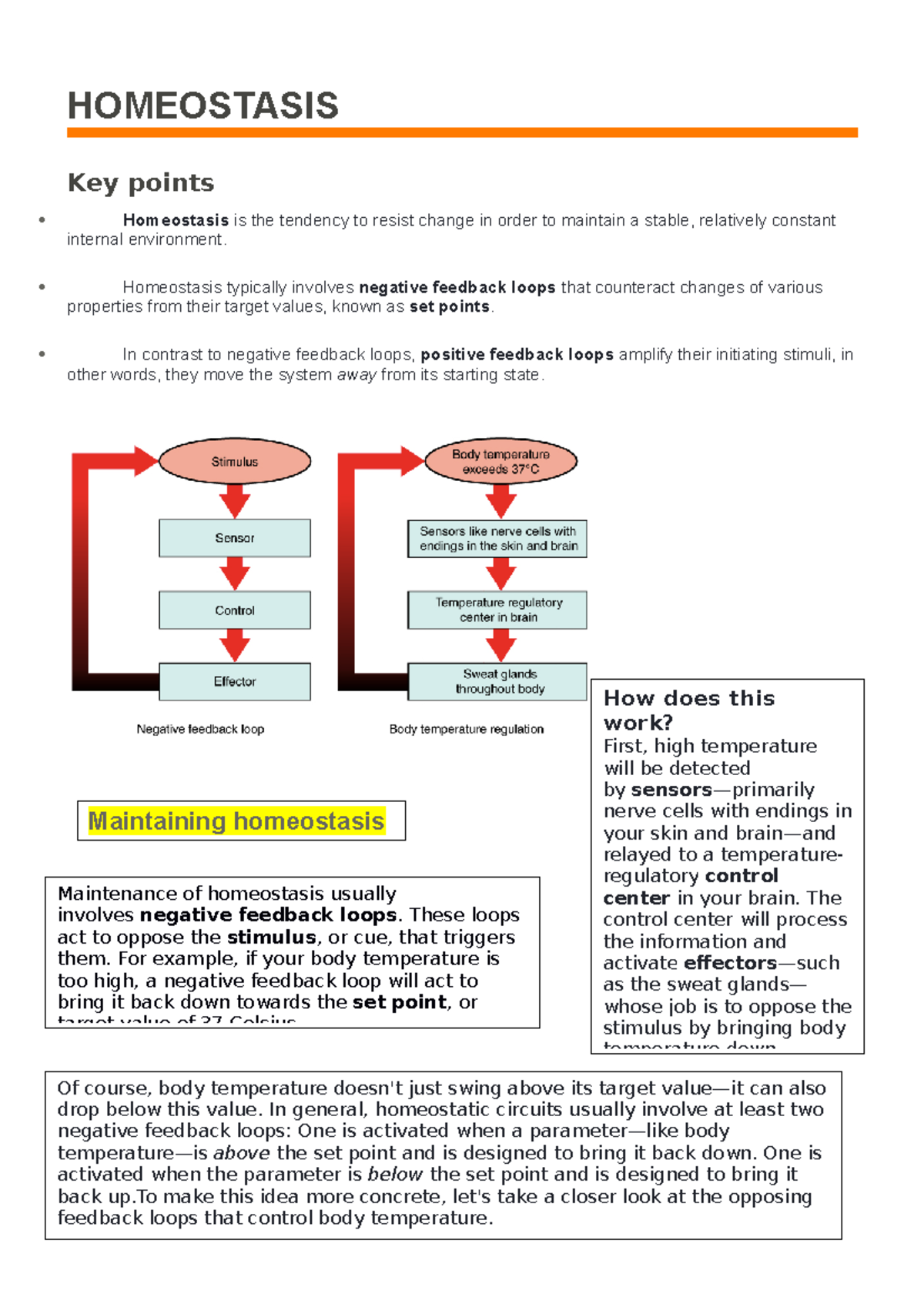 Homeostasis - Knauss class - HOMEOSTASIS Key points Homeostasis is the ...