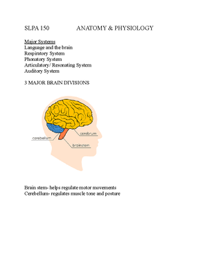 Fluency Disorders 4:18 - Fluency Disorders - Stuttering Definition ...