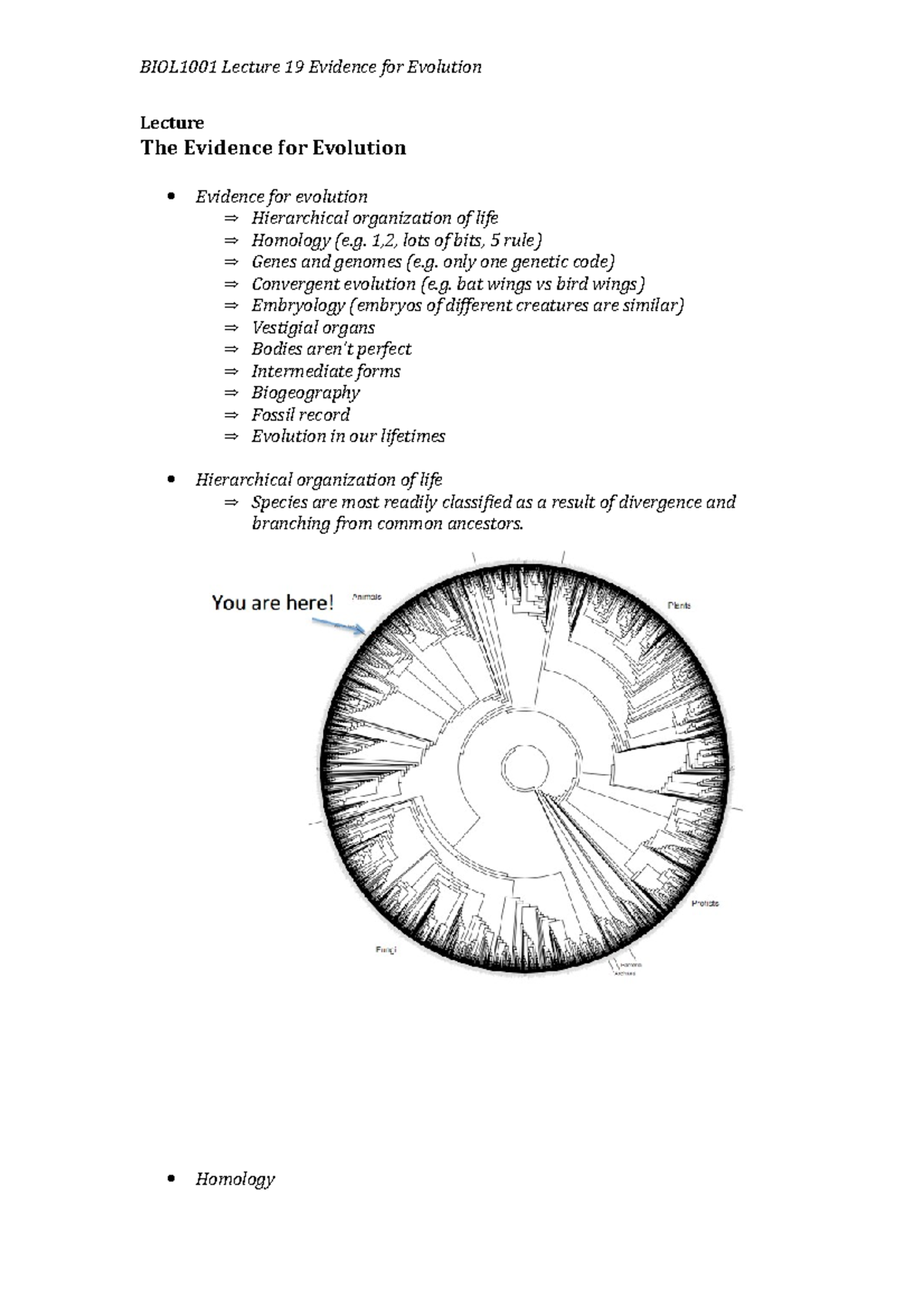 Biol1001 Lecture 19 Evidence For Evolution - BIOL1001 Lecture 19 ...