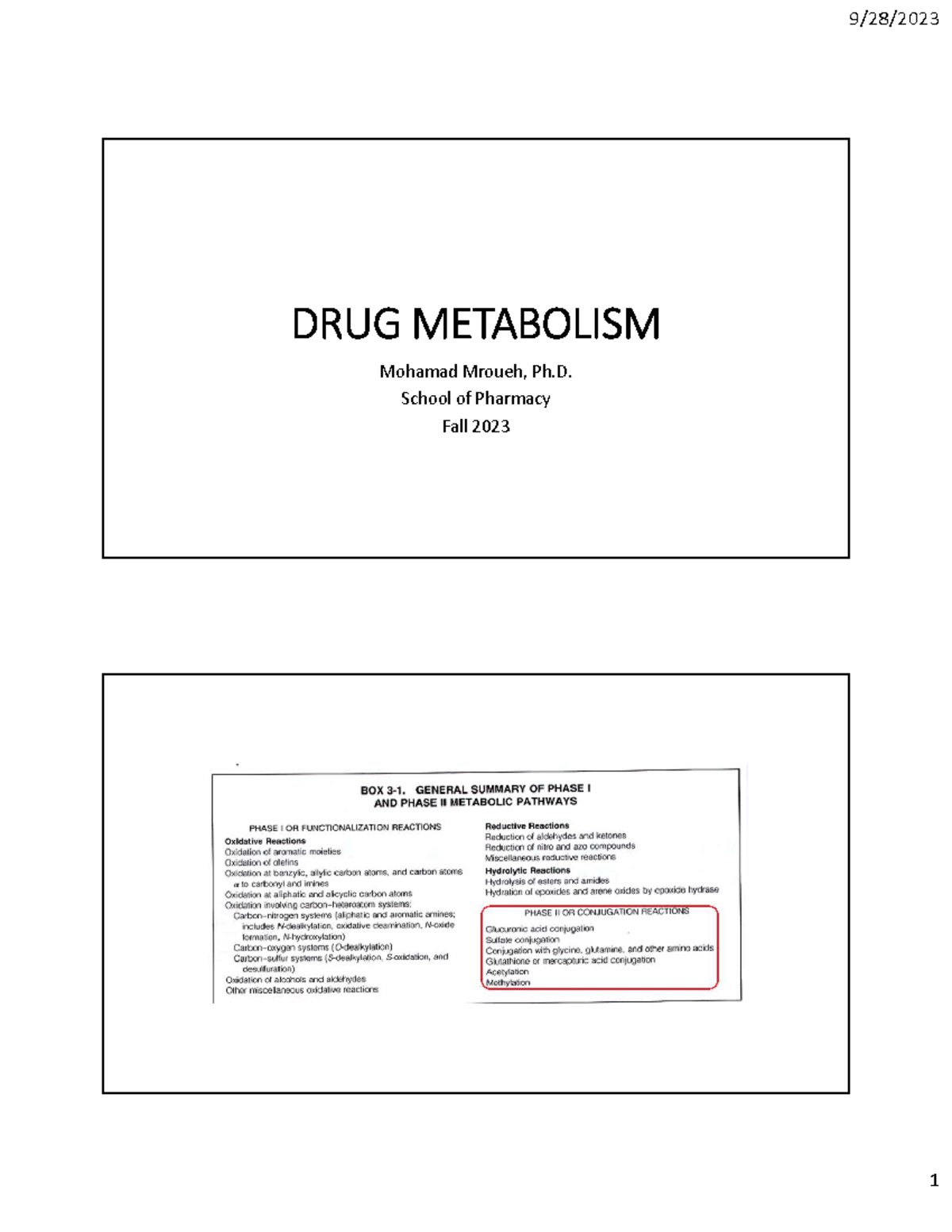 Metabolism 2 - NOTES FOR LECTURE ALL U NEED - DRUG METABOLISM Mohamad ...