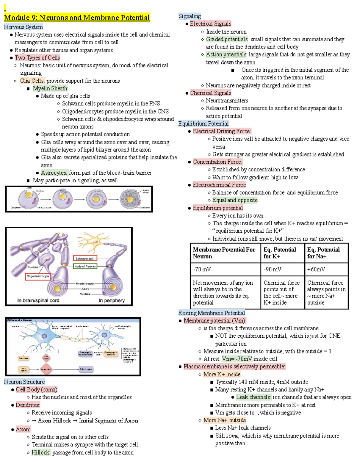 Module 9-16 - Module 9: Neurons and Membrane Potential Nervous System ...
