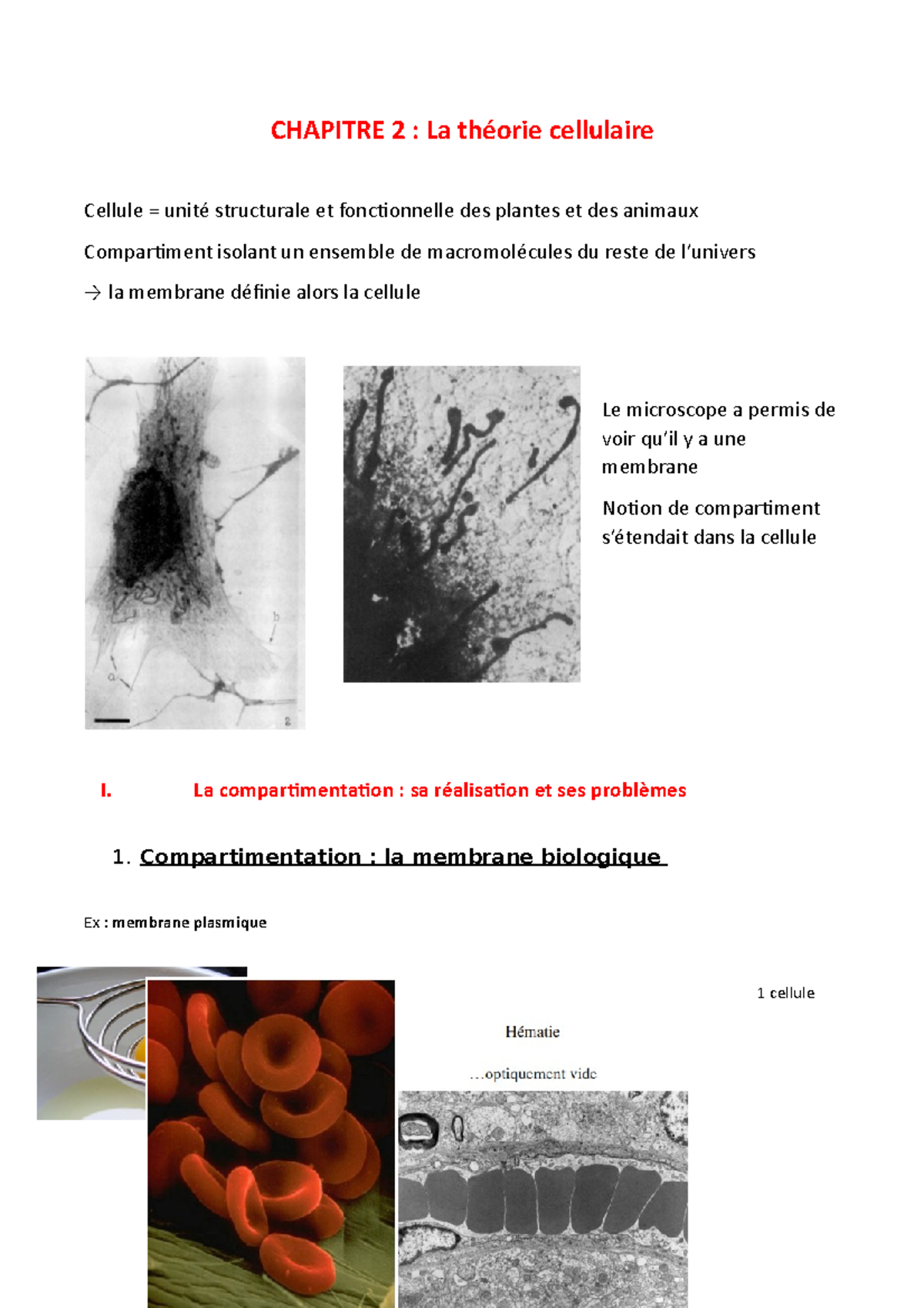 CHAP 2 bio cell - biocell - CHAPITRE 2 : La théorie cellulaire Cellule = unité structurale et ...
