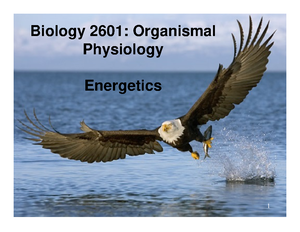 Assignment 6 Worksheet 10 - GEOG 2152: Geography of Hazards Assignment ...