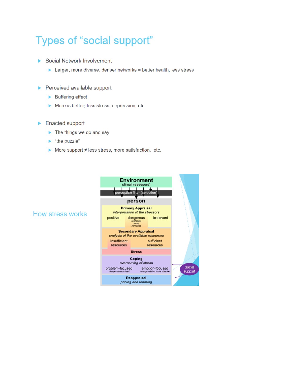 Social Support Notes - COMM 319 - Studocu