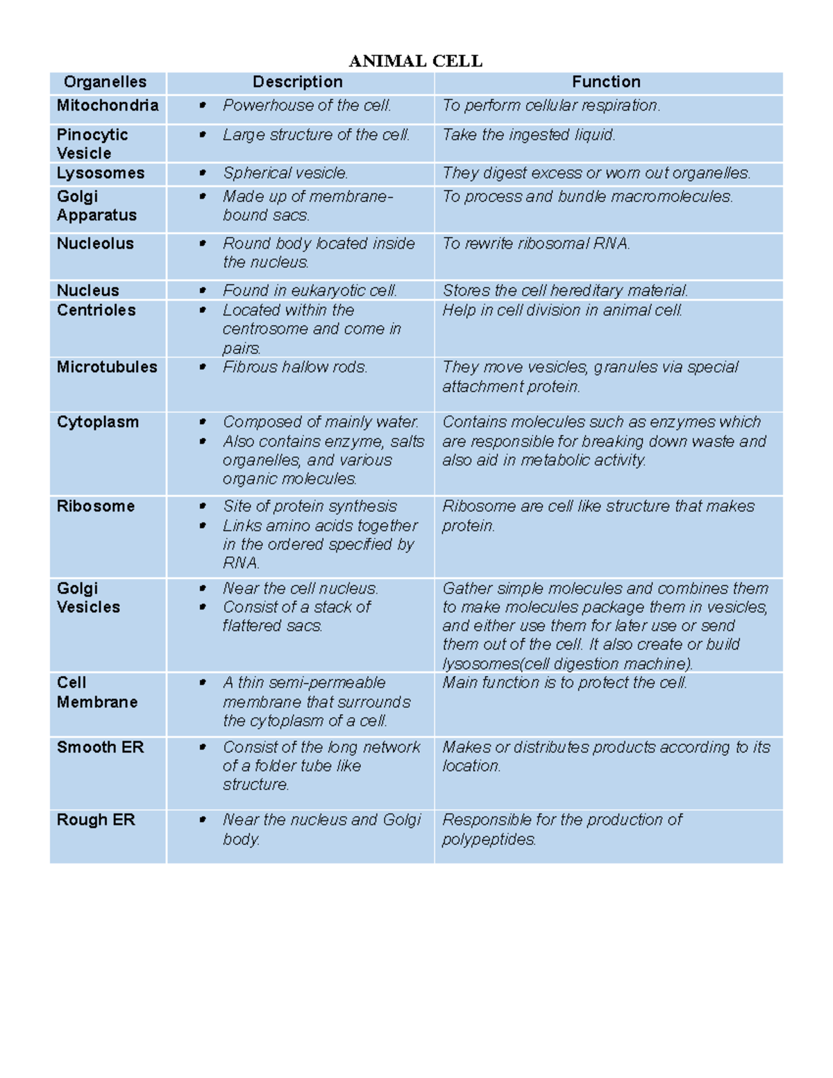 Animal CELL - ANIMAL CELL Organelles Description Function Mitochondria ...