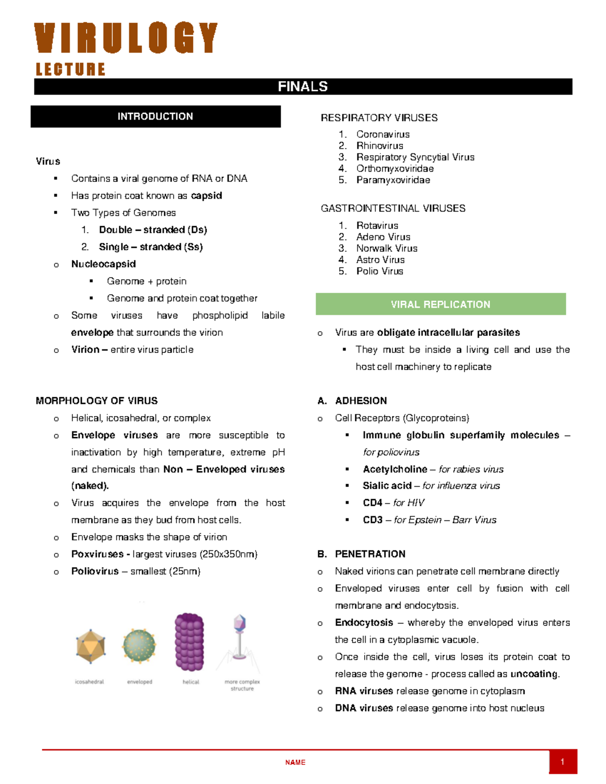 Virology Lesson 1 - Naaah - V I R U L O G Y L E C T U R E FINALS ...