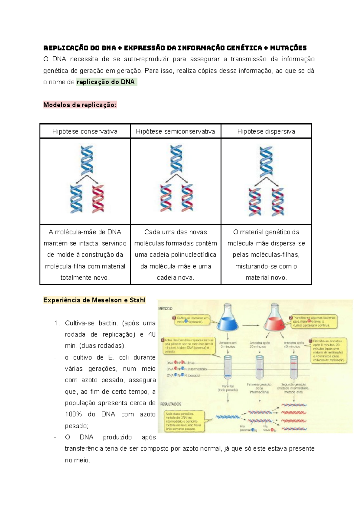 3. Replicação do DNA + Expressão da informação genética + Mutações ...
