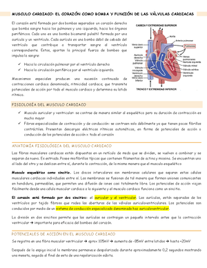 Discusión 5 FISIOLOGIA Y BIOQUIMICA - 1. Concepto de batmotropismo ...