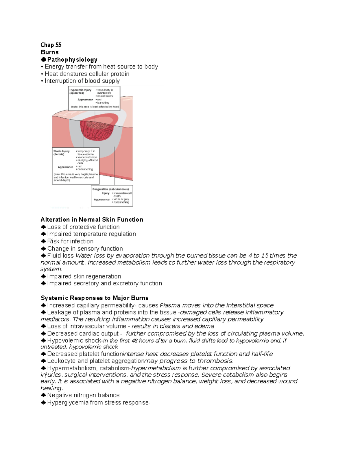 Burns - Chap 55 Burns Pathophysiology • Energy transfer from heat ...