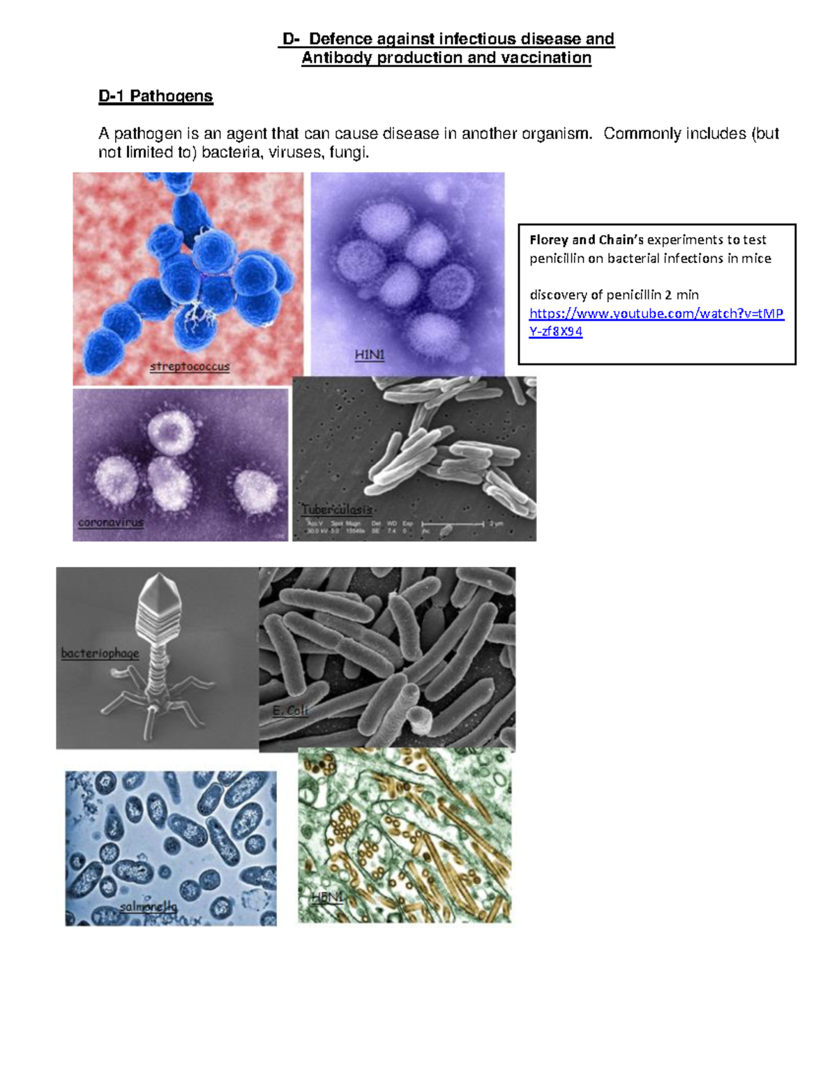 D-1 Pathogens - Immune system - D- Defence against infectious disease ...