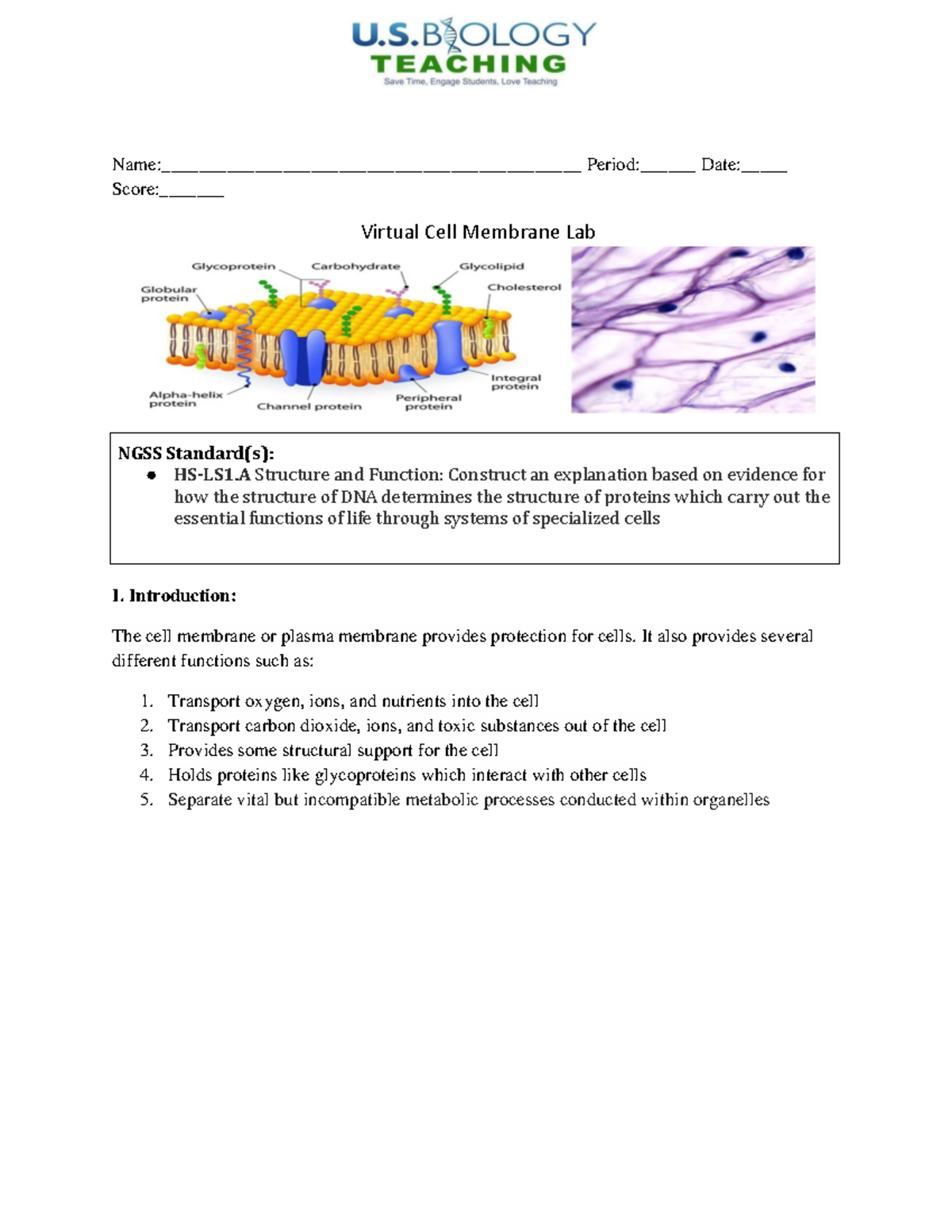 Your Cell Membrane Virtual Lab - Name ...