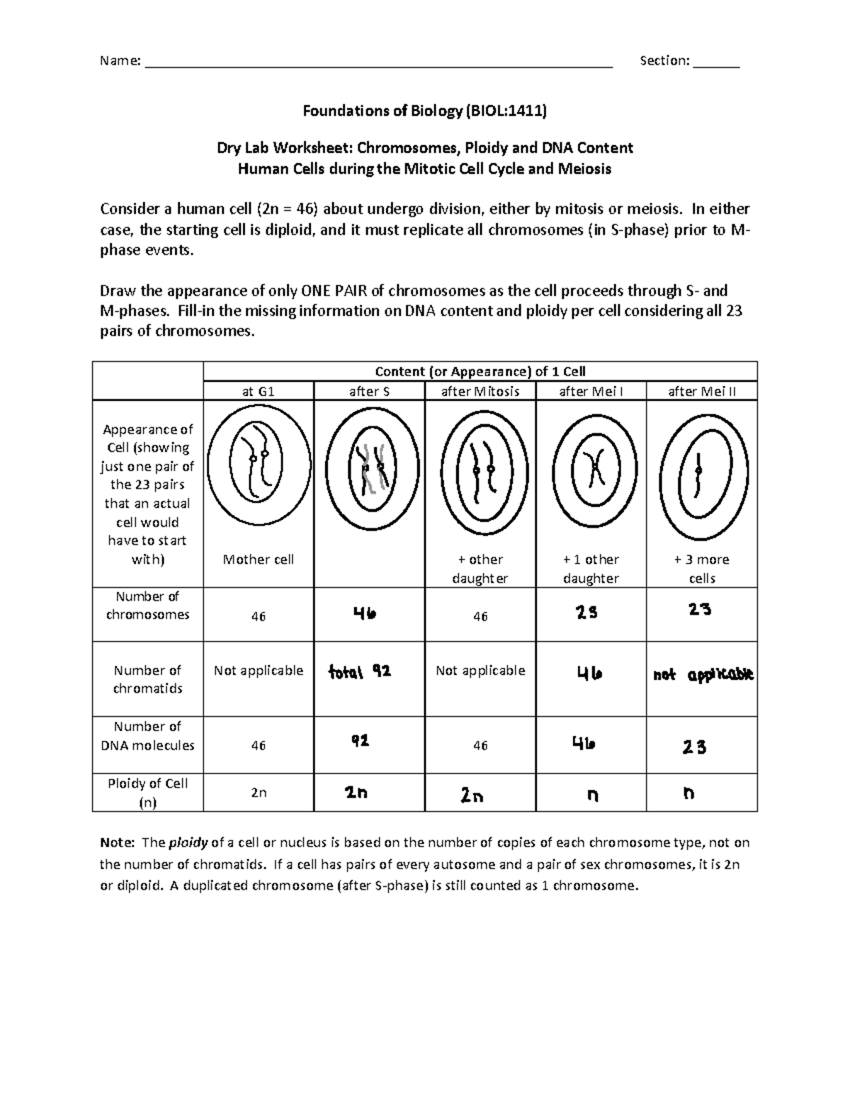 BIOL1411 Worksheet 3 - Name