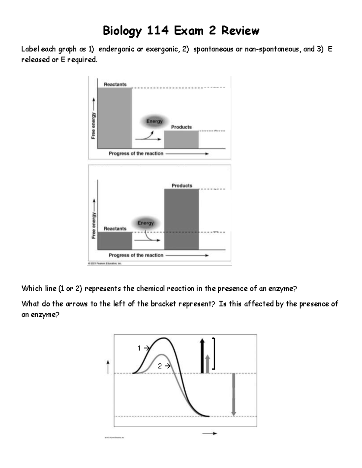 Biology 114 Exam 2 Review Sp23 - Biology 114 Exam 2 Review Label each ...