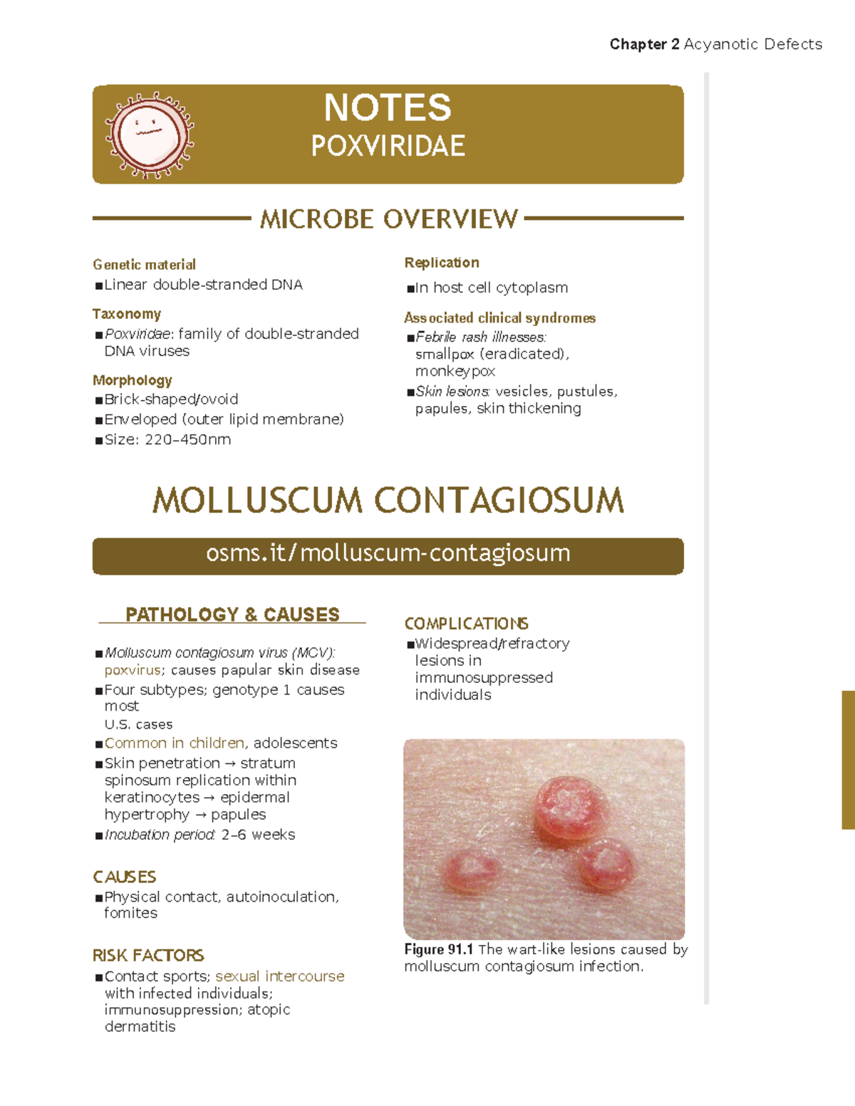 Poxviridae - NOTES POXVIRIDAE osms/molluscum-contagiosum Chapter 2 ...