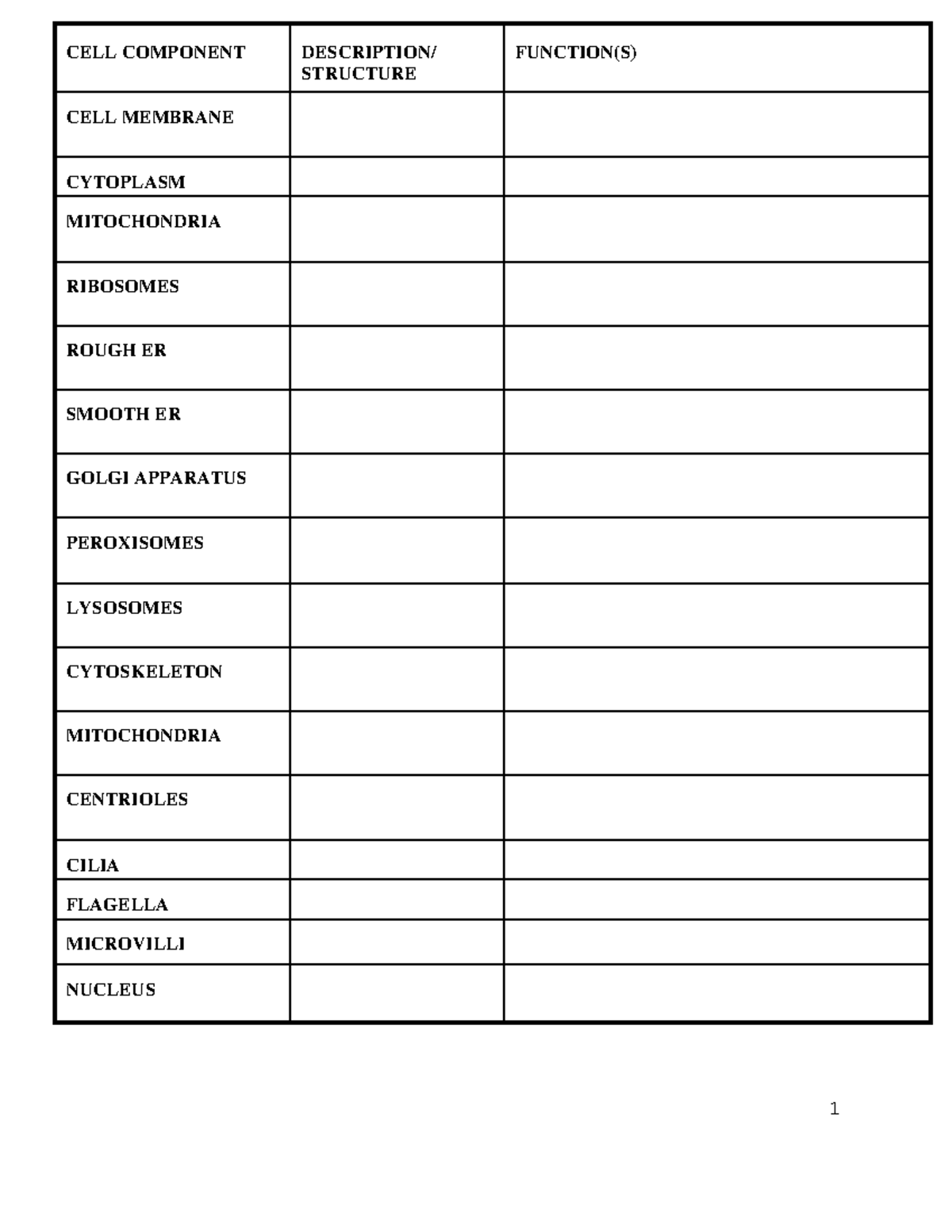 Cells - cell cycle blank chart - BIOL 2110K - 1 CELL COMPONENT ...