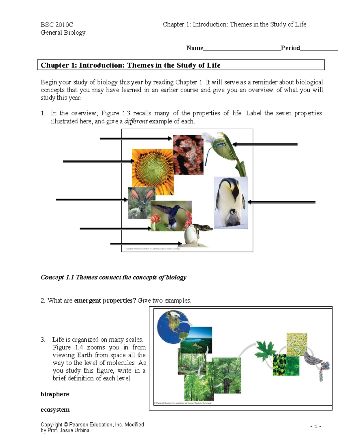 Interactive Reading Guide Chapter 1-1 - BSC 2010C General Biology ...