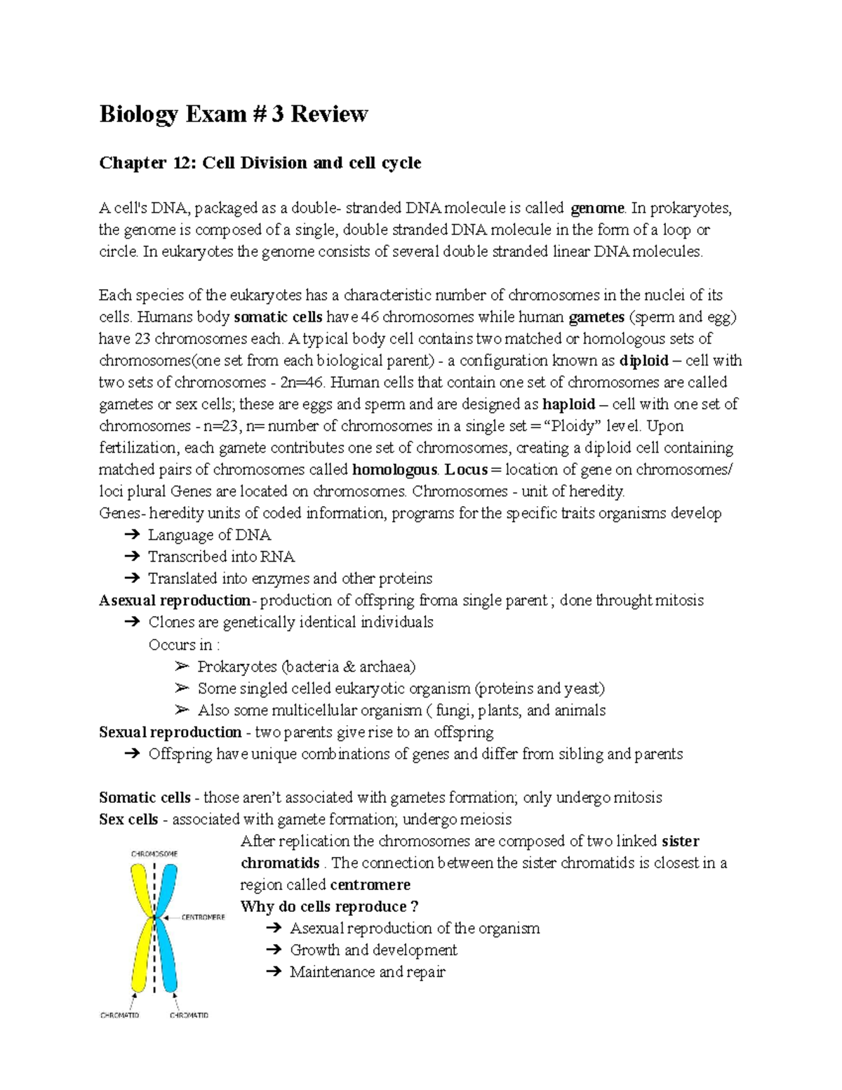 Chapter 10- Cell Reproduction - Deprecated API usage: The SVG back-end ...