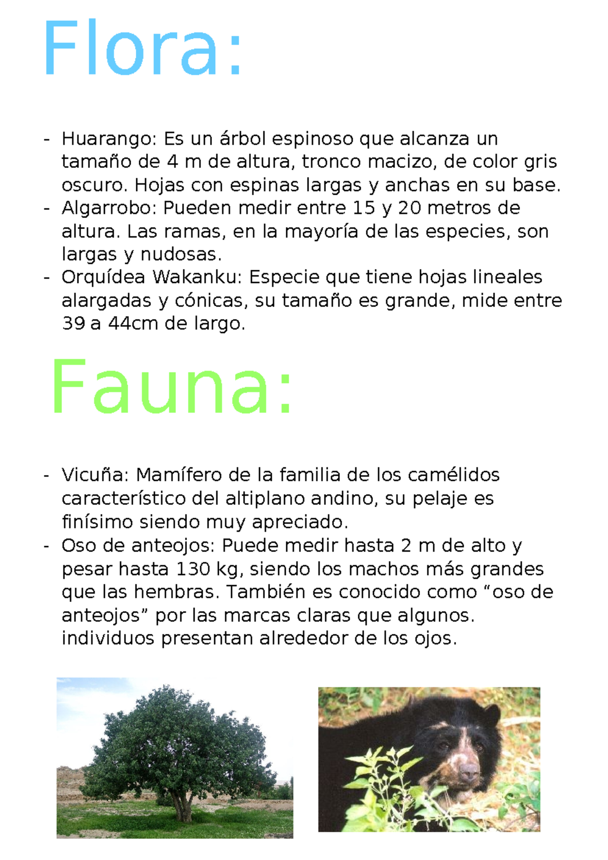 Flora y fauna - sfa - Flora: Huarango: Es un árbol espinoso que alcanza ...