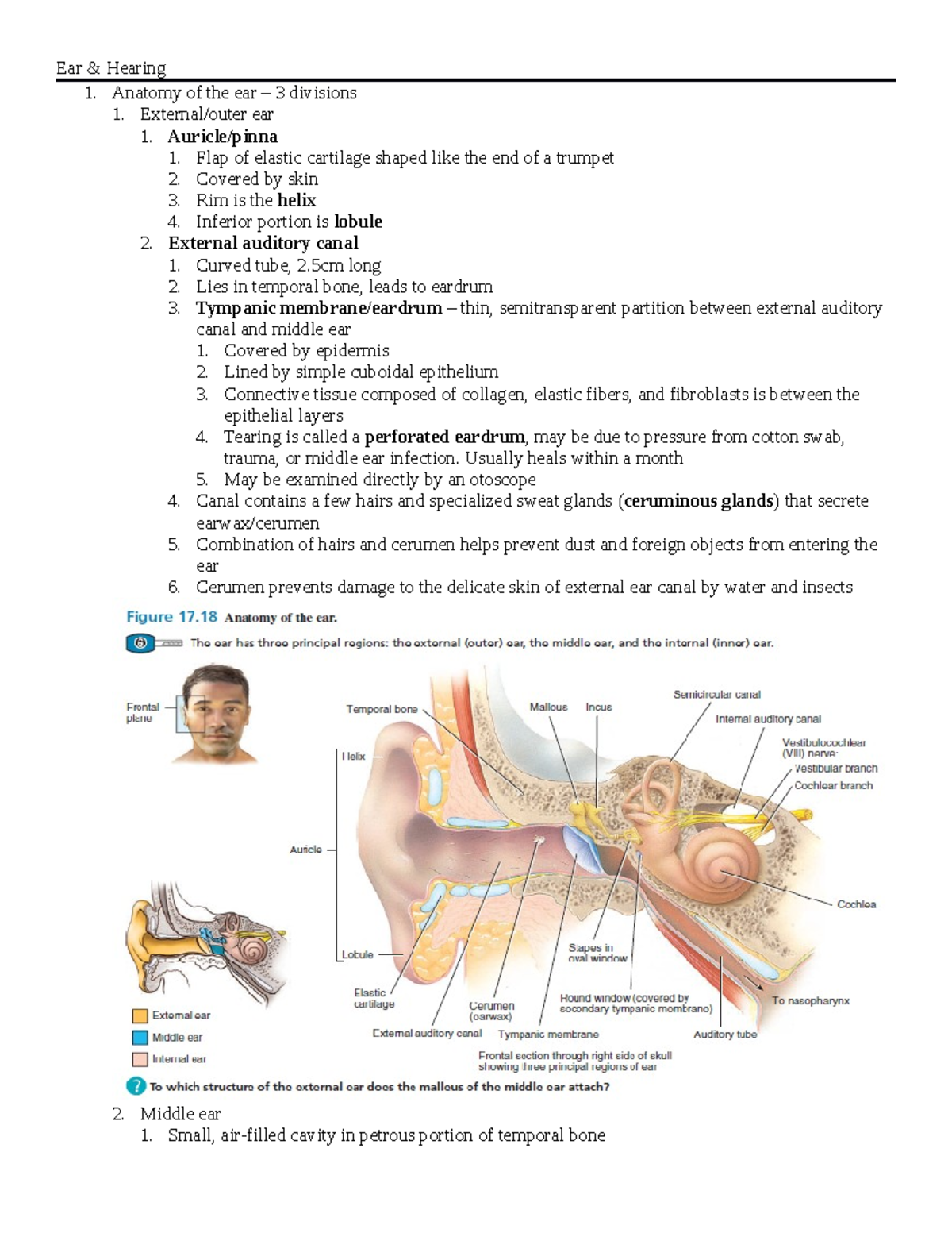 Review pt. 2 (207 pgs) - Ear & Hearing Anatomy of the ear – 3 divisions ...
