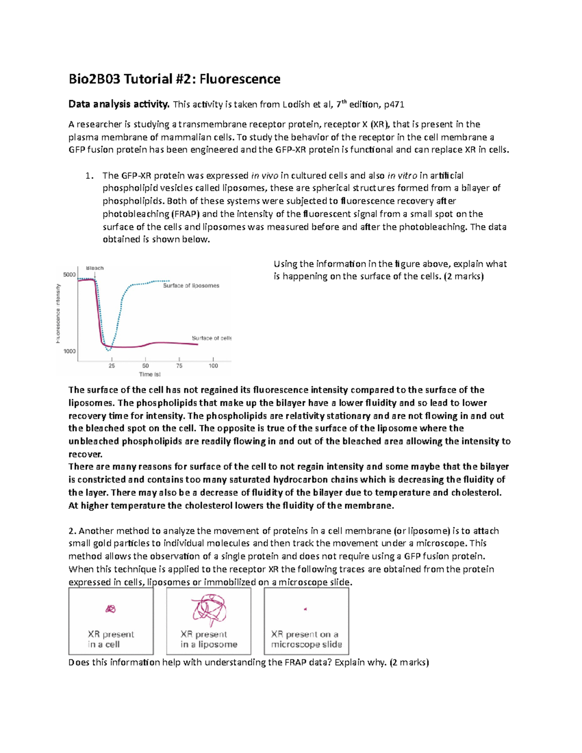 Fluorescence tutorial assignment W2020 - Bio2B03 Tutorial #2: Fluorescence Data analysis ...