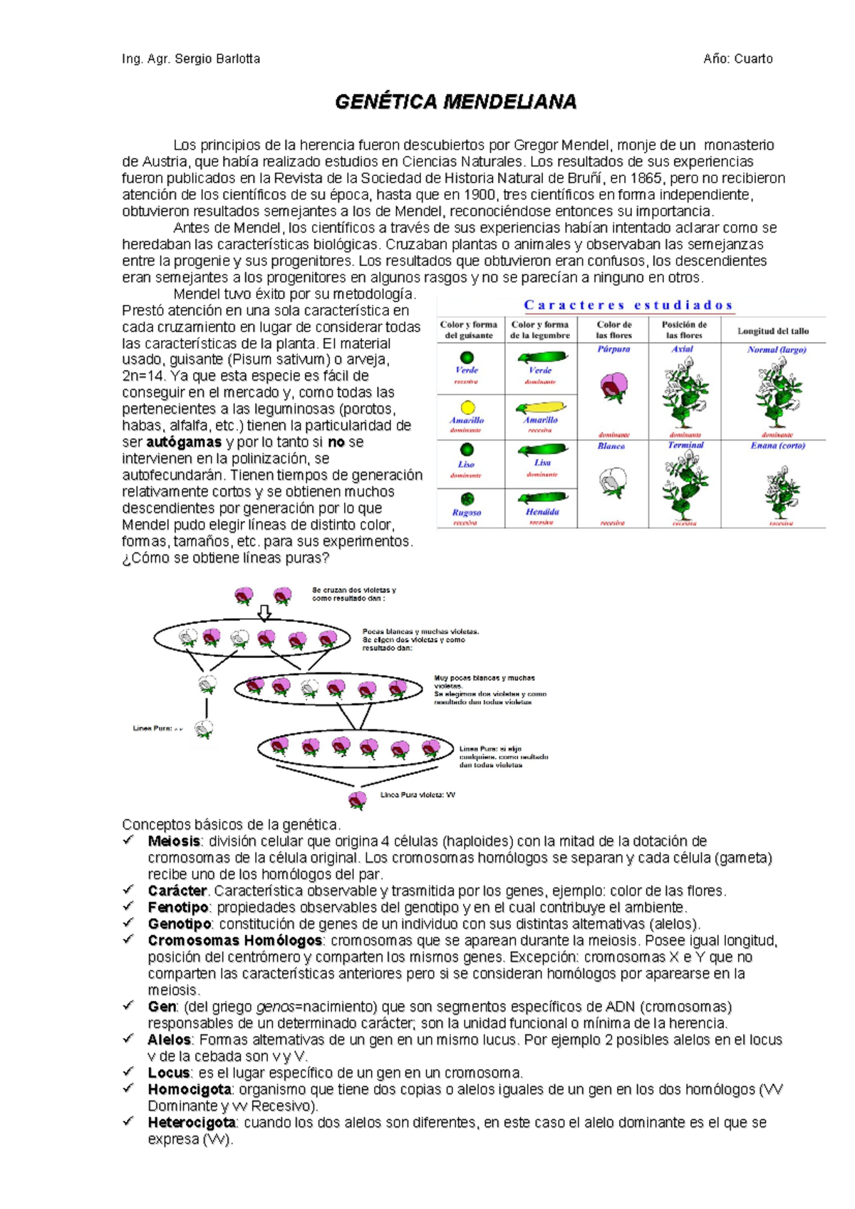 Genética Mendeliano 2020 - GENÉTICA MENDELIANA GENÉTICA MENDELIANA Los ...
