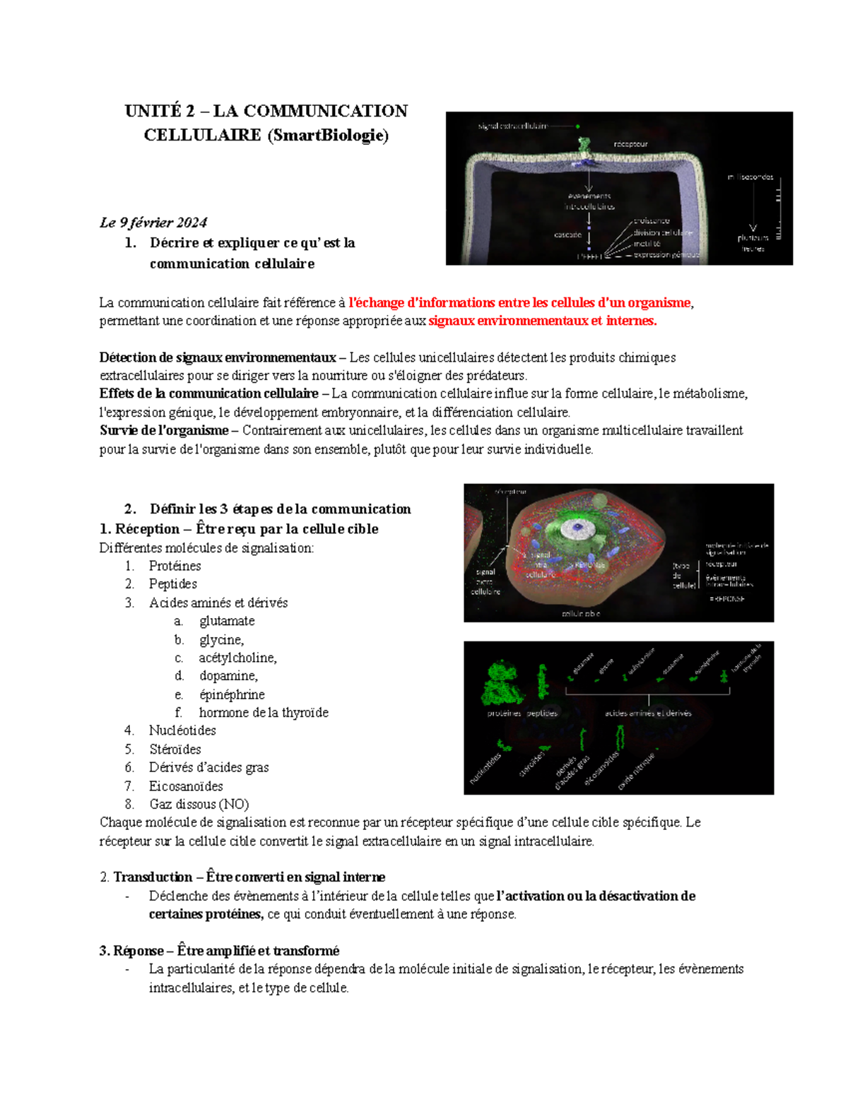 BIO1540 Unité 2 - UNITÉ 2 – LA COMMUNICATION CELLULAIRE (SmartBiologie ...