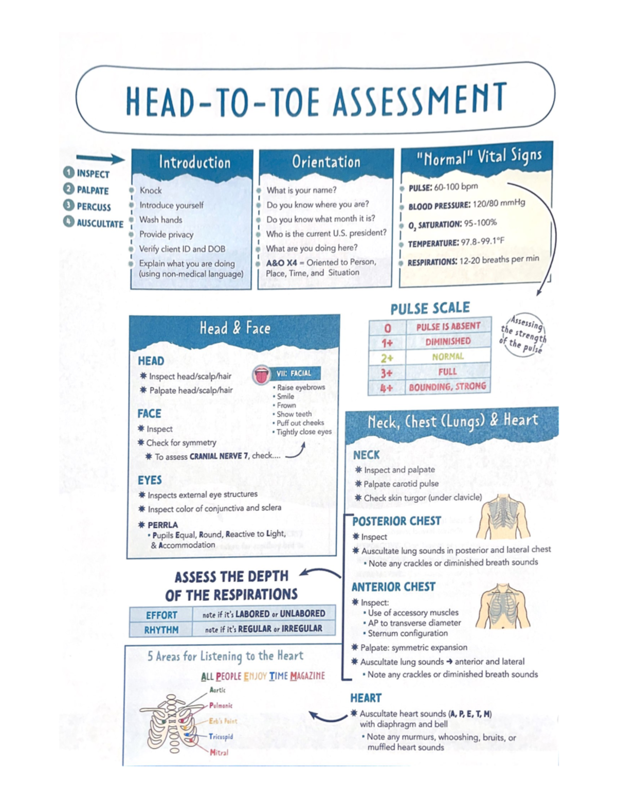 HEAD TO TOE Assessment - pdf of practice - NURS 304 - Studocu