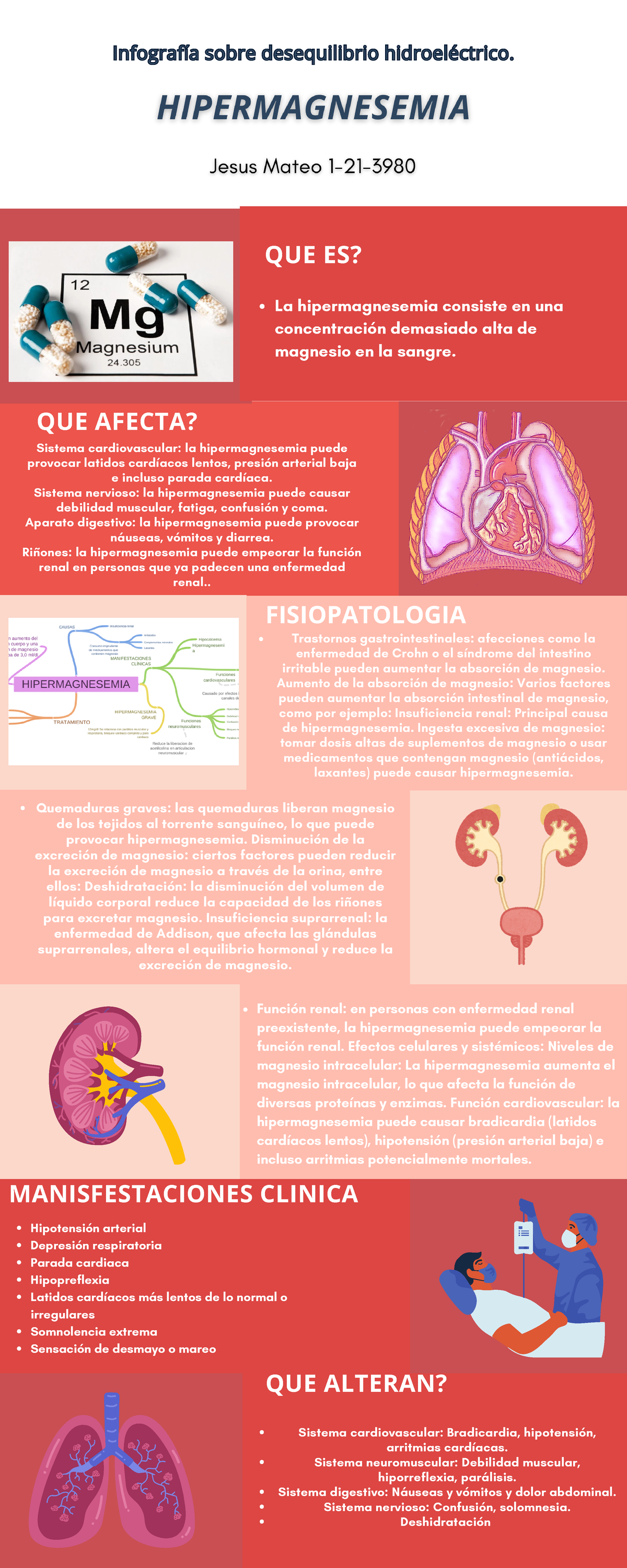 Infografia Trucos Lista Información Datos Moderno Organico Multicolor ...