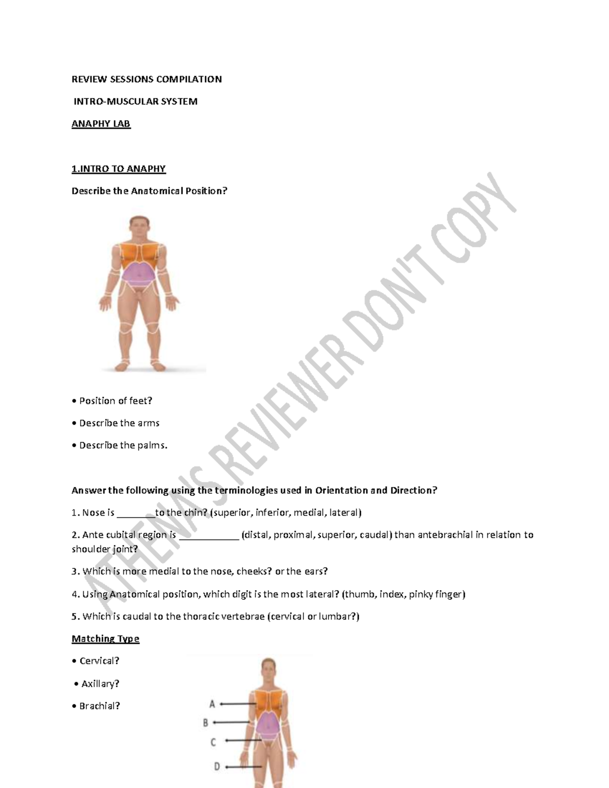 Review Sessions Anaphy LAB Compilation - REVIEW SESSIONS COMPILATION ...