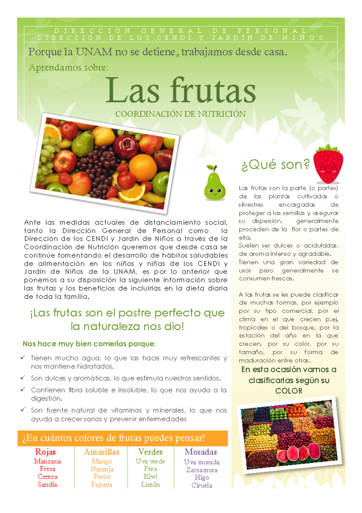 Frutas - Resumen - D I R E C C I Ó N G E N E R A L D E P E R S O N A L ...