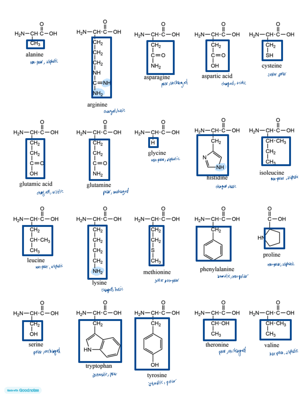 Amino Acids - Hth Sci 1Ll3 - non-polar , aliphatic sulfur , poldr poldr ...