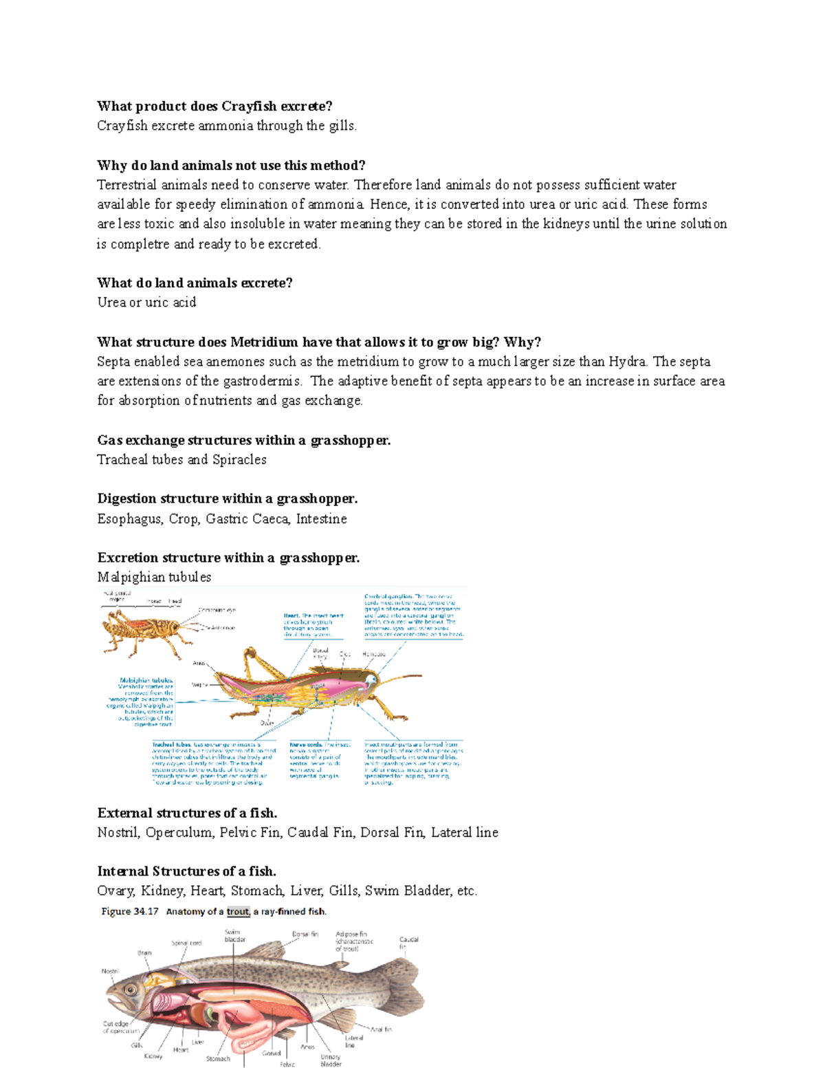 BIO LAB Final Notes - What product does Crayfish excrete? Crayfish ...