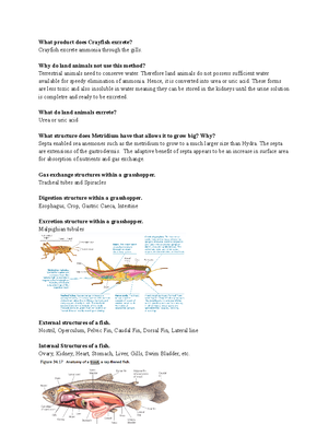 Biology Chapter 10 Test + Answer Key - Biology Chapter 10: Principles ...