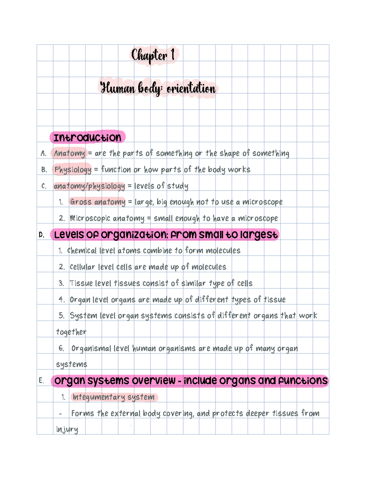 anatomy and physiology notes - Chapter 1 Human body: orientation ...