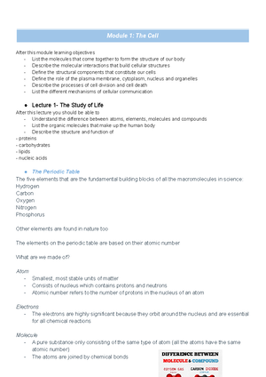 L1-Gross neuroanatomy - Gross Neuroanatomy Dr Lyndsey Collins-Praino ...