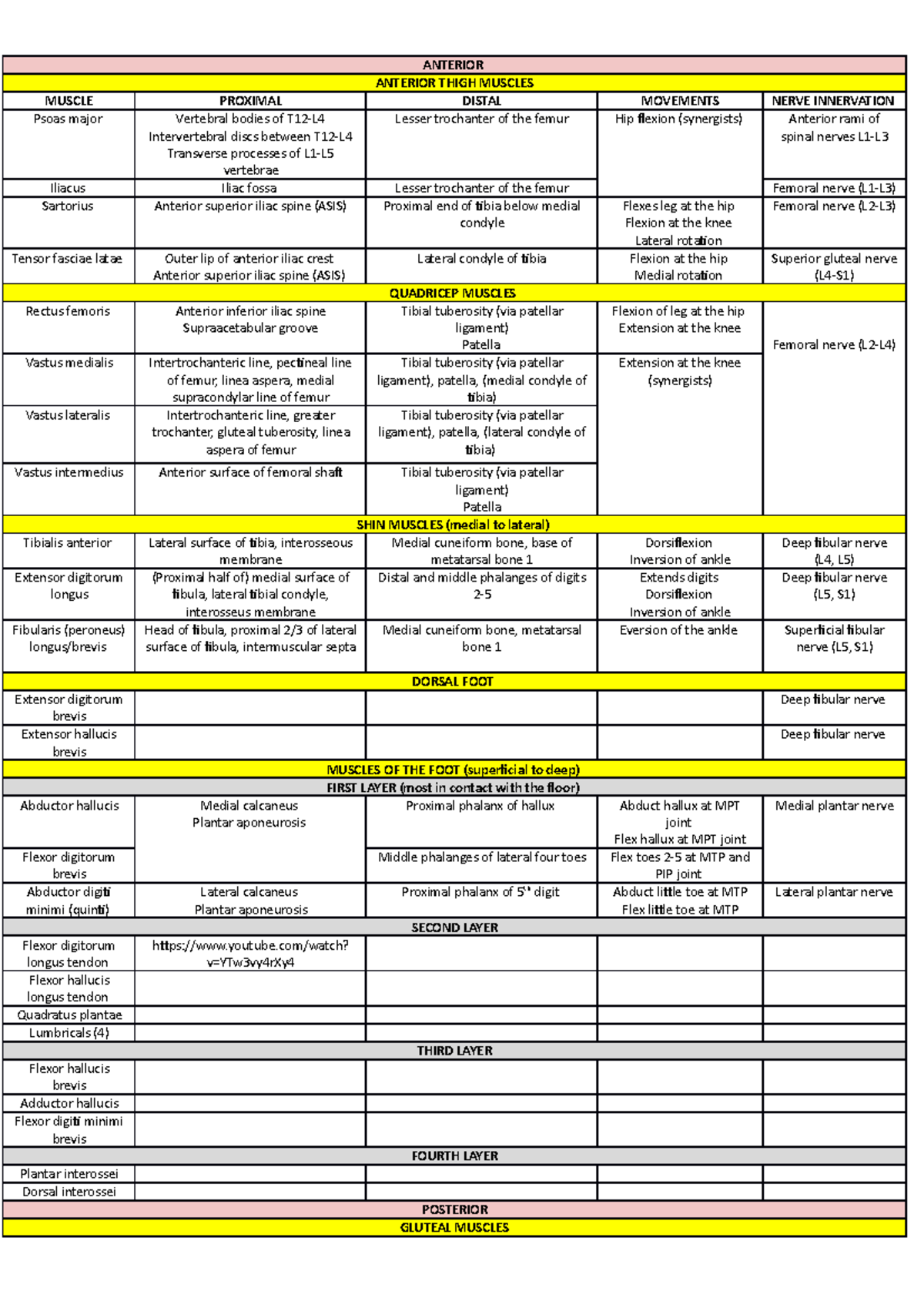 Summary Lower BODY Muscle Table - ANTERIOR ANTERIOR THIGH MUSCLES ...