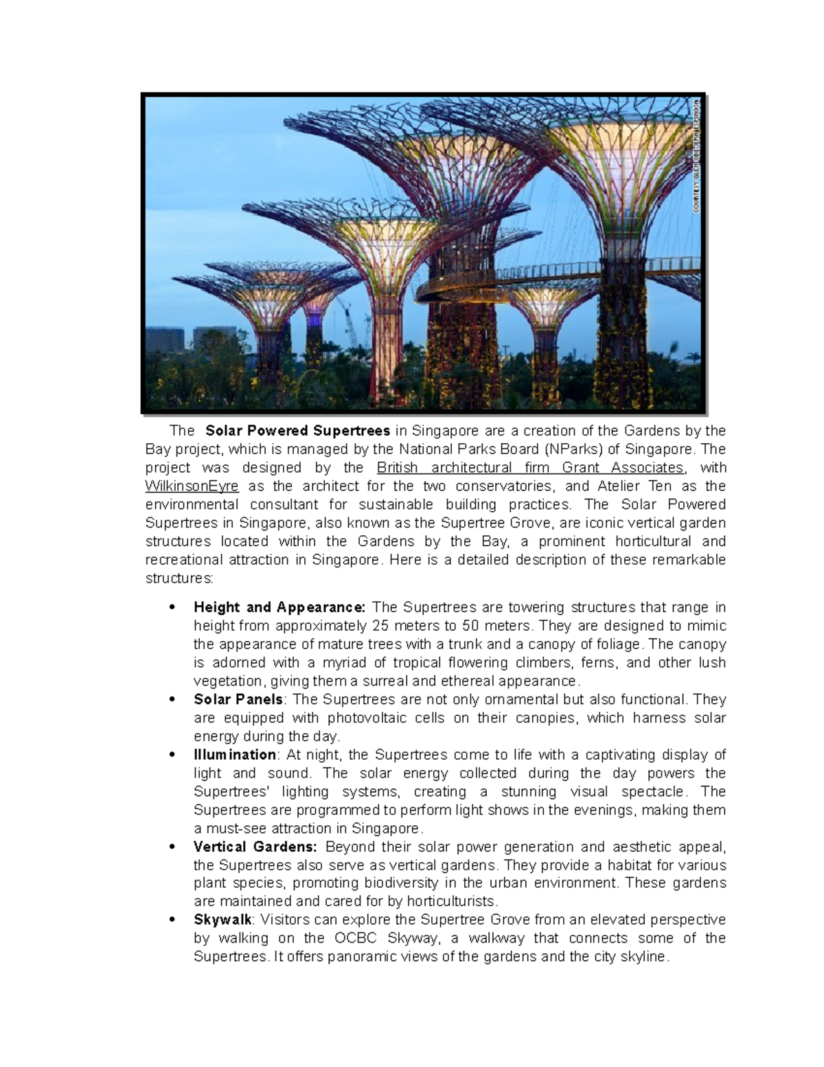 ART Solar Powererd Supertrees Purpose and Function - The Solar Powered ...
