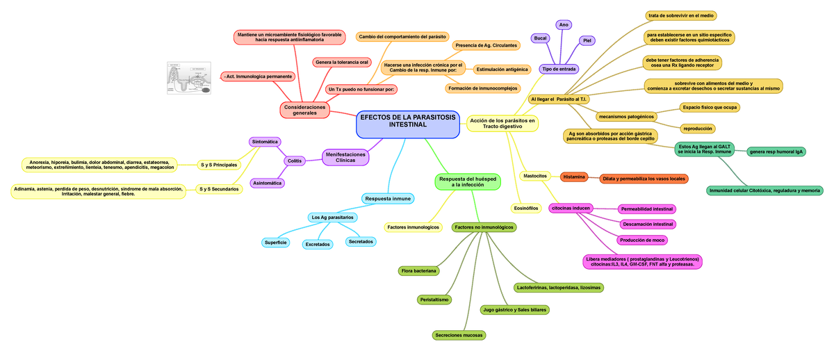 Mapa Efecto de las parasitosis en el TGI - EFECTOS DE LA PARASITOSIS ...