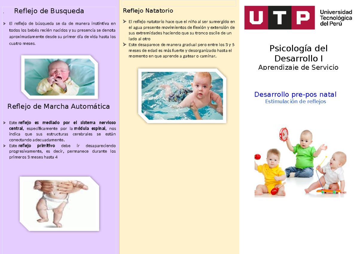 Tarea Academica 2 - Tríptico - . Reflejo de Busqueda El reflejo de ...