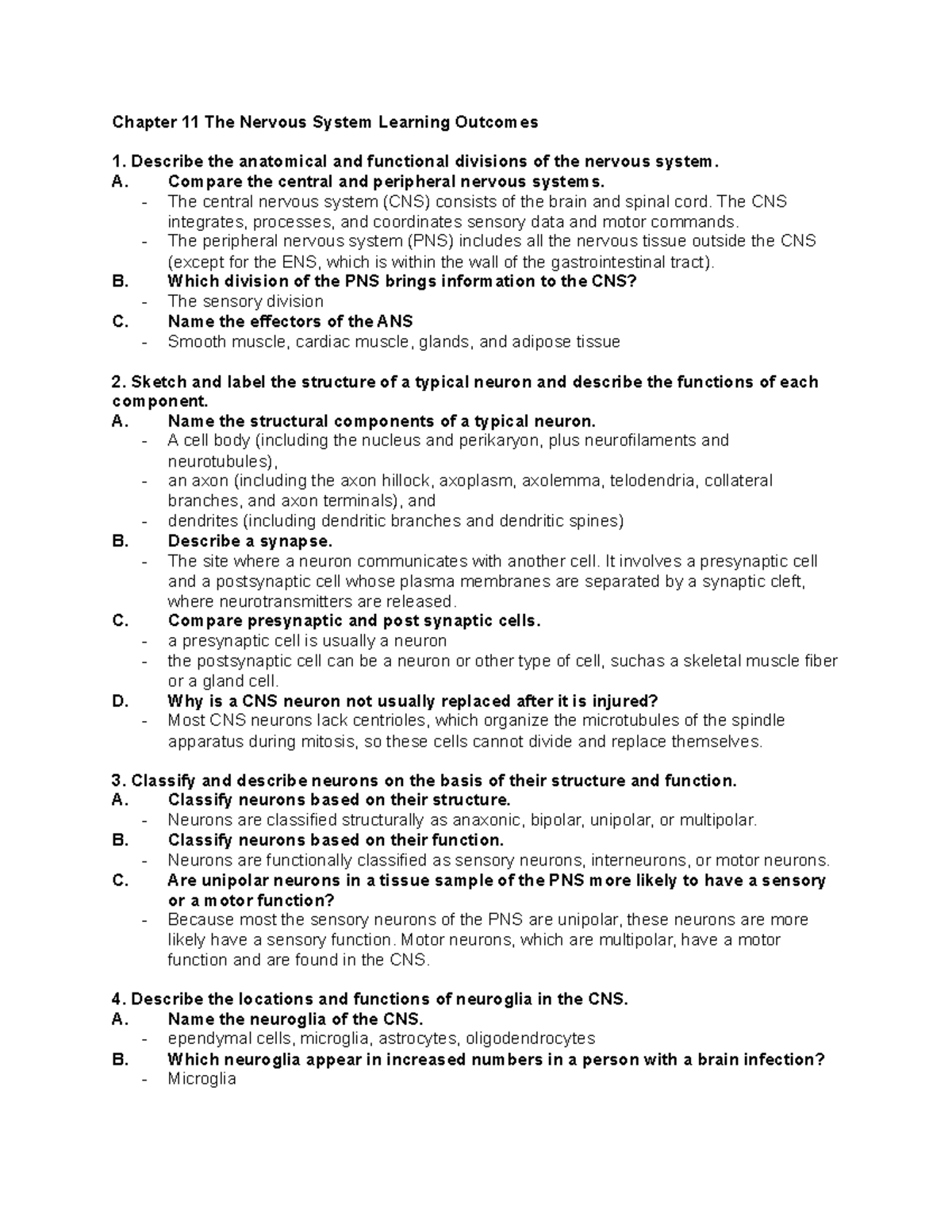 Chapter 11 The Nervous System Learning Outcomes - Chapter 11 The ...