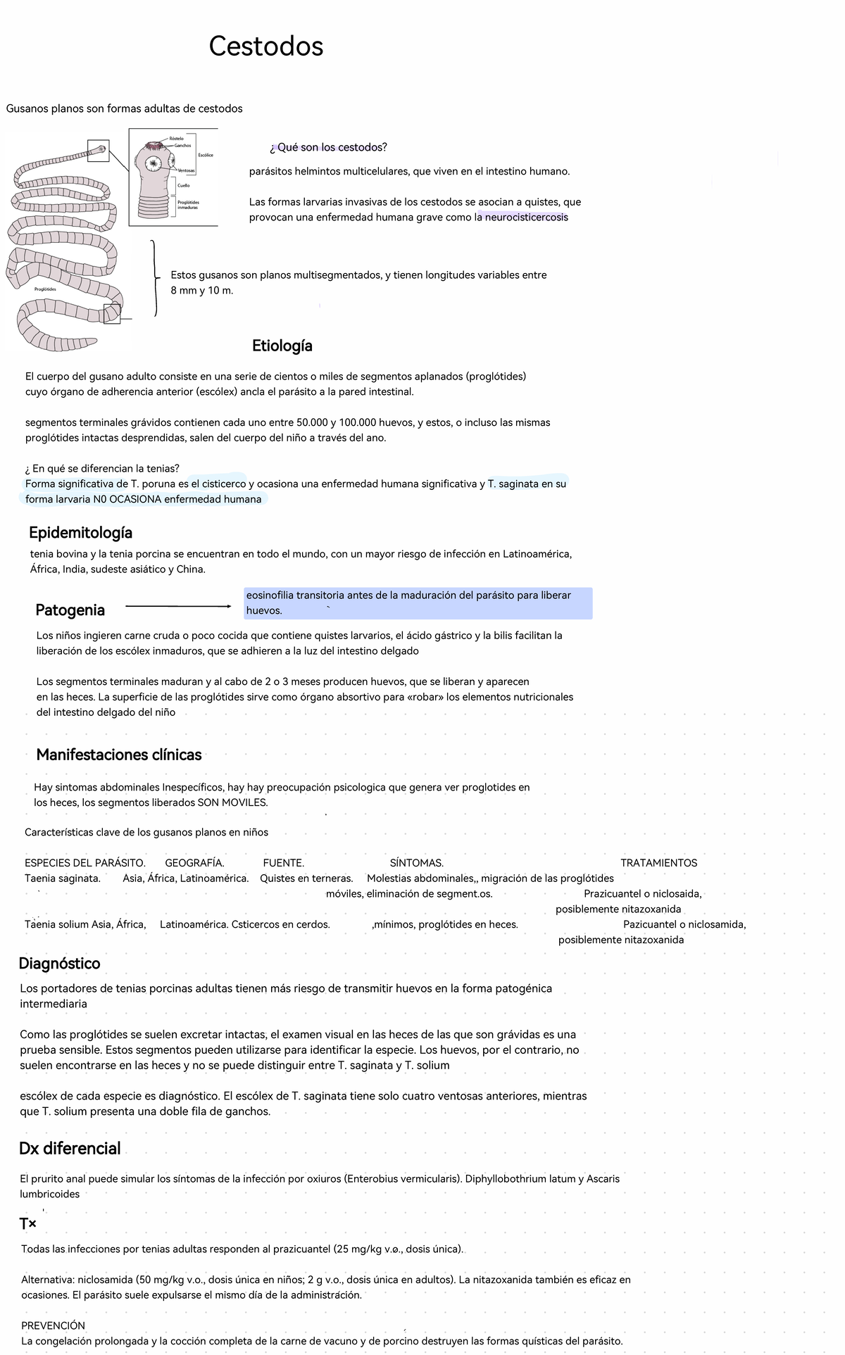 Cestodos 1 - Resumen - Cestodos Gusanos planos son formas adultas de ...