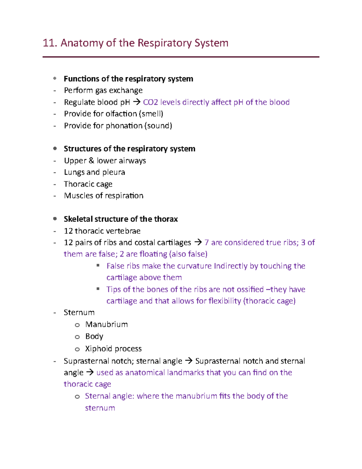 11. Respiratory Anatomy - 11. Anatomy of the Respiratory System ...
