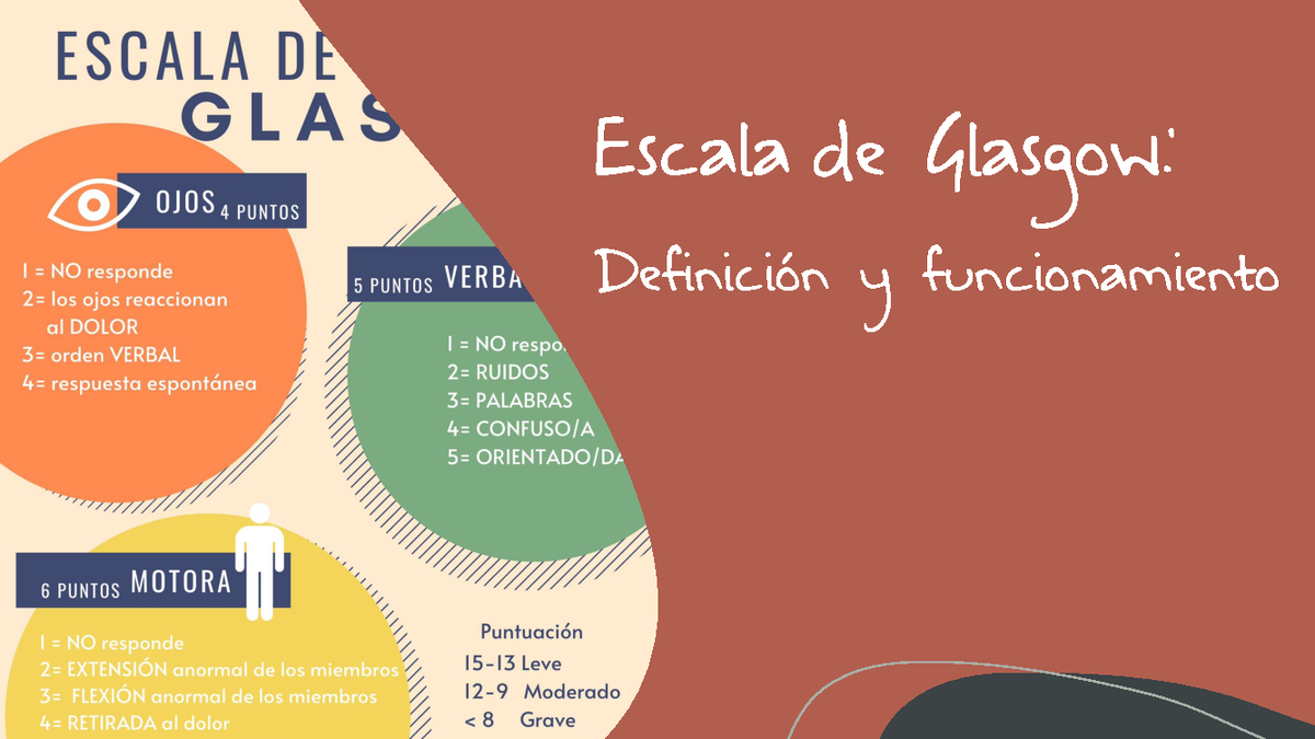 Escala de Glasgow - Escala de Glasgow: Definición y funcionamiento ...