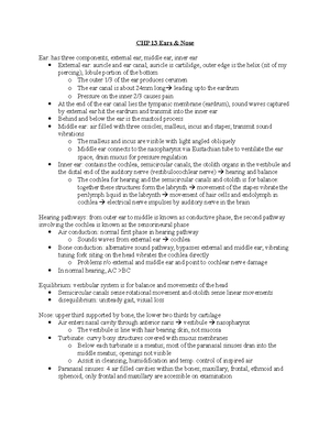 CHP 19 abdomen BATES GUIDE - CHP 19- Abdomen Abdomen: the abdomen ...