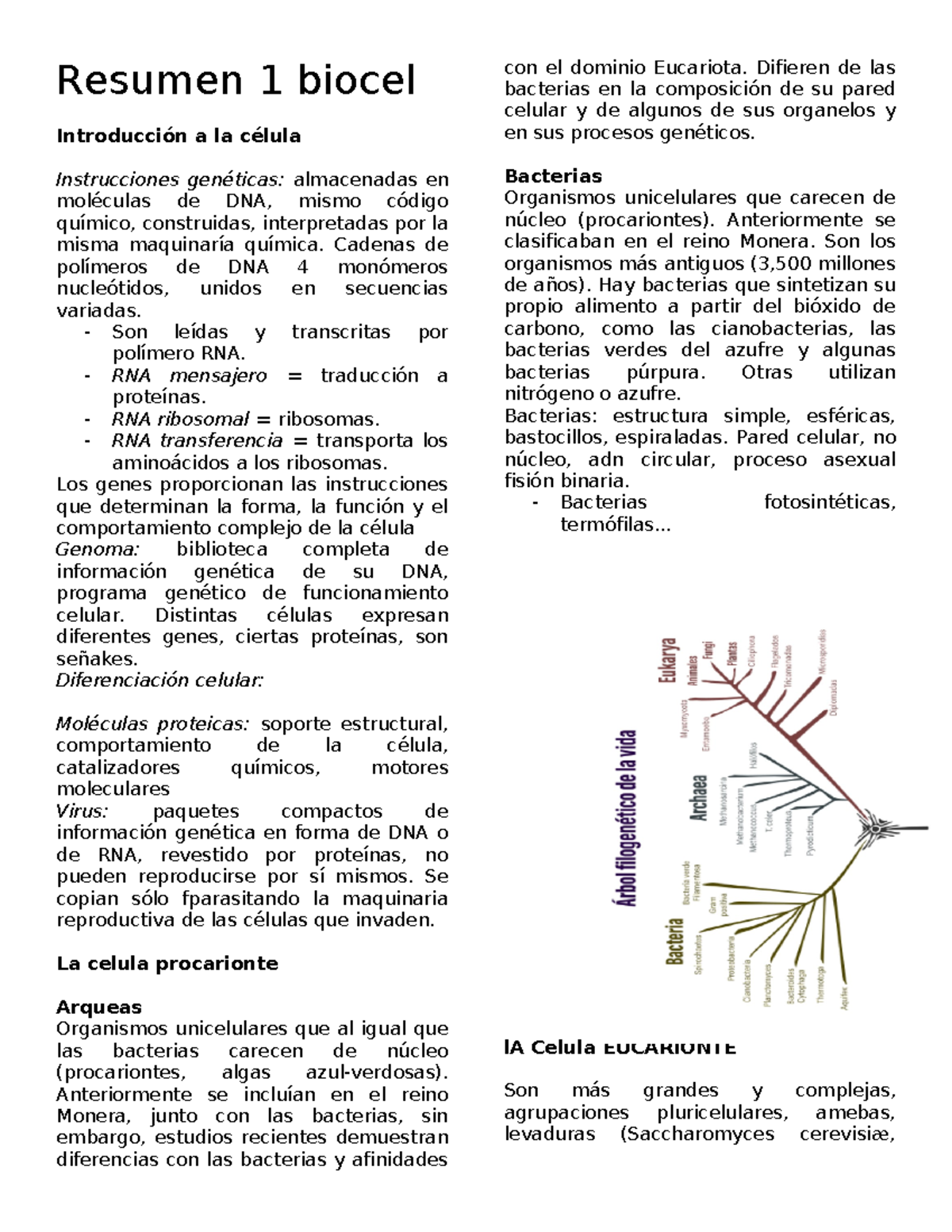 Resumen 1 biocel - Resumen 1 biocel Introducción a la célula Instrucciones genéticas ...