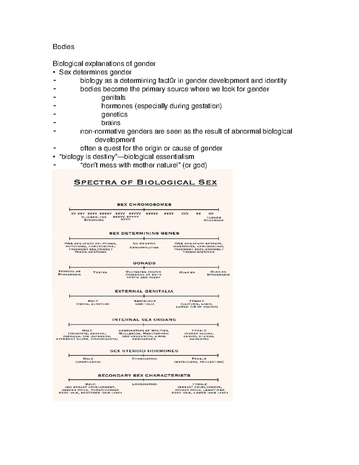Gender notes for year - Bodies Biological explanations of gender • Sex ...
