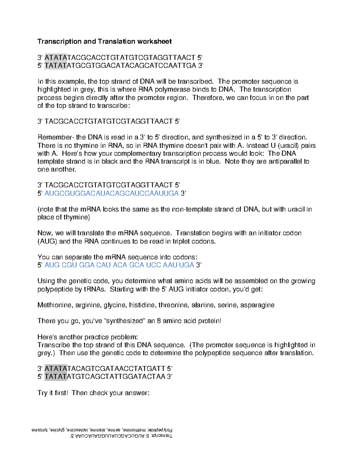 Genetics worksheet - Transcription and Translation worksheet 3 ...