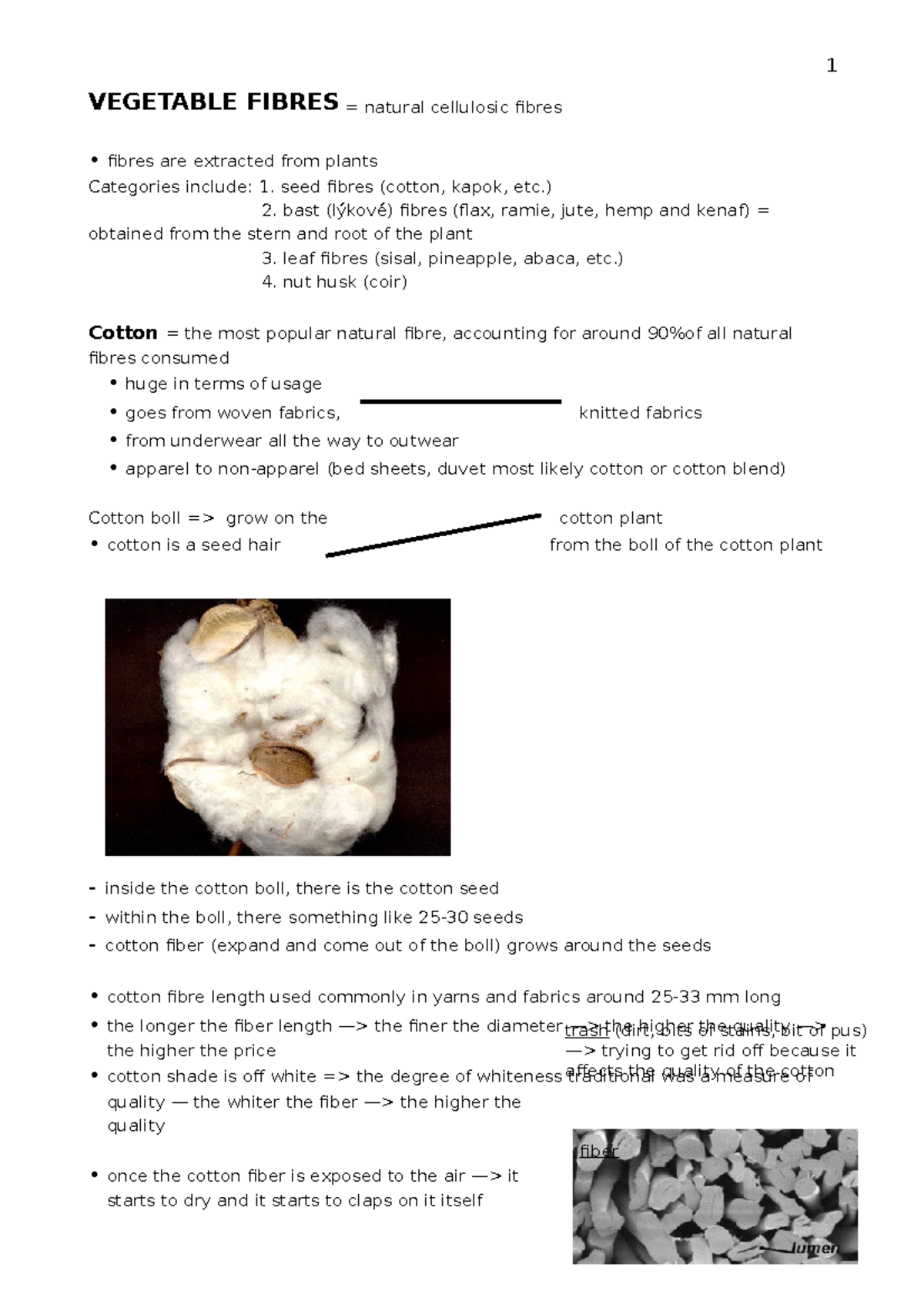 Vegetable fibres – Fashion Industry - VEGETABLE FIBRES = natural ...