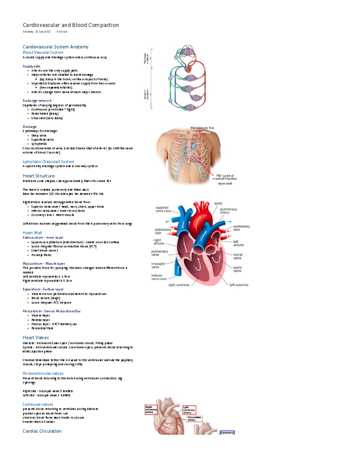 Blood and cardio - These are my notes from the first few lecures of ...